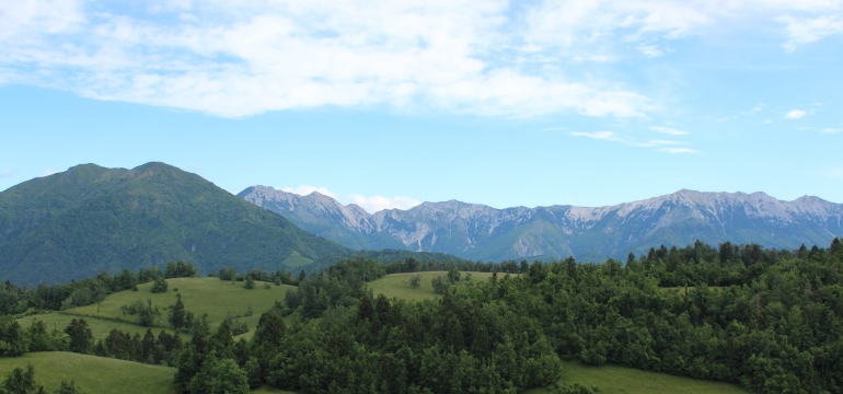 Slovenian forests | Forestry services and sales of timber - MMG Les d.o.o.